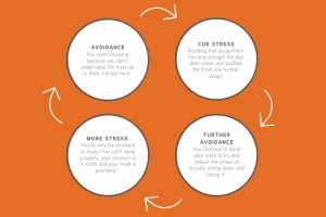 The Avoidance Cycle. What is it and how to we avoid it? | CUC Western ...